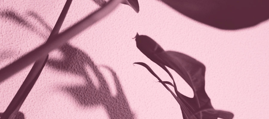 LoFi Study Music Player App – Design By Simone Solomon